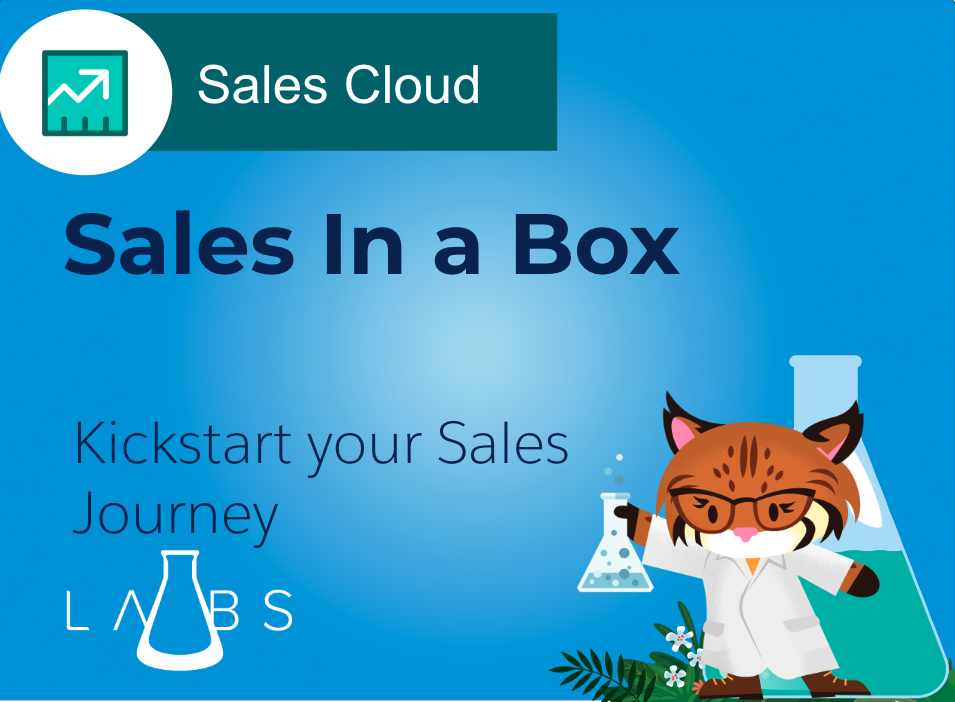 Salesforce Labs Sales Org in a Box – Kickstart Your B2B Sales with Pre ...
