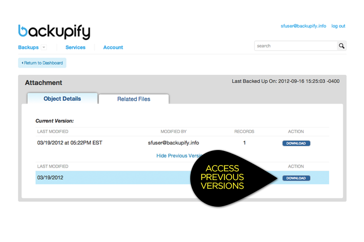 download previous versions of files and objects