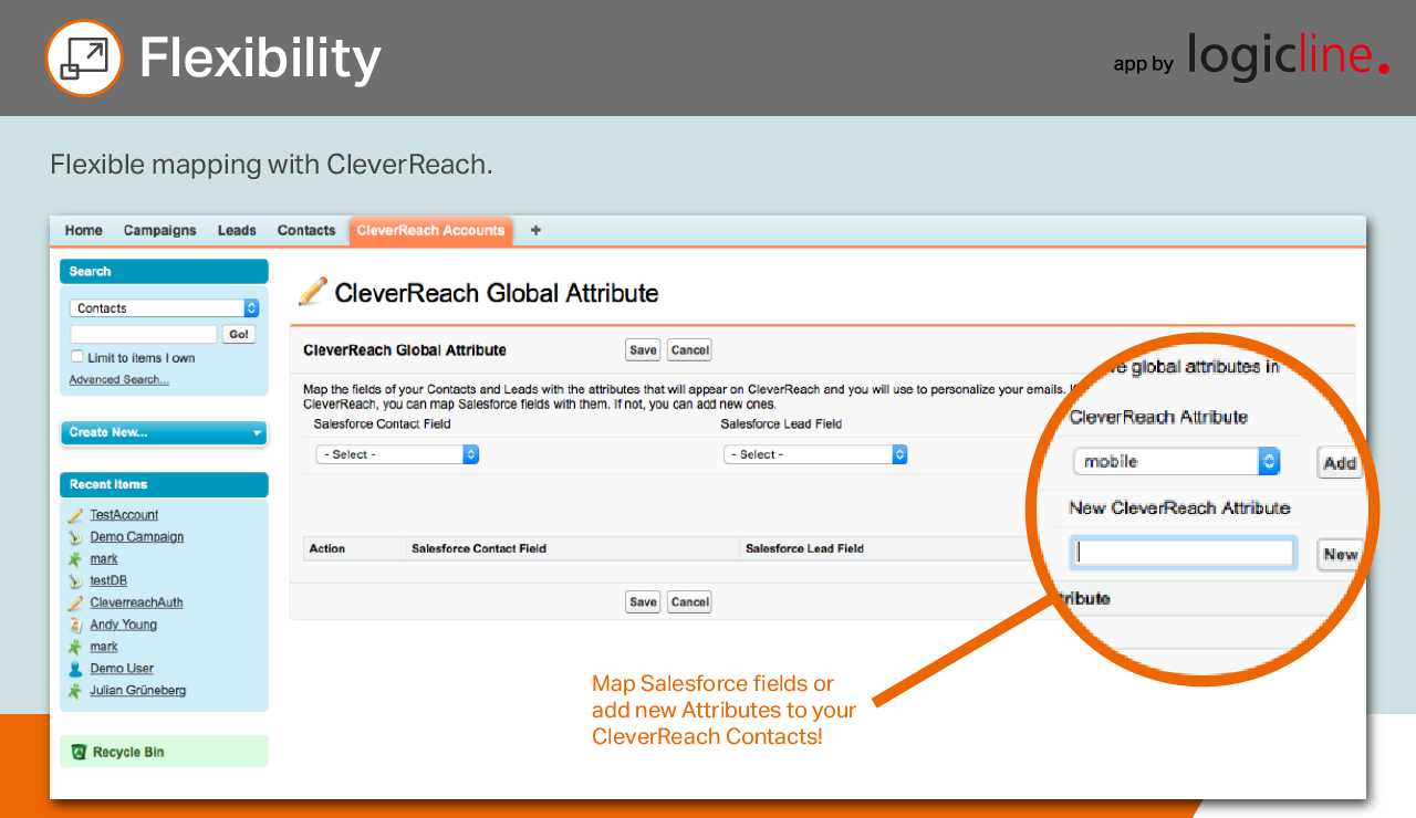 flexible mapping of salesforce fields to cleverreach attributes