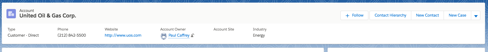 accessed through a quick action on the account object