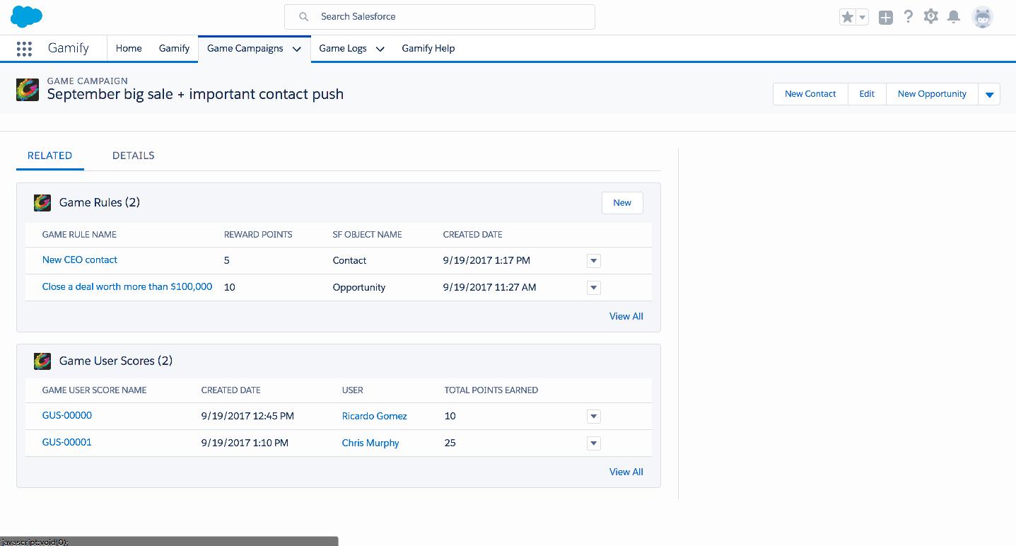 game rules and point allocation