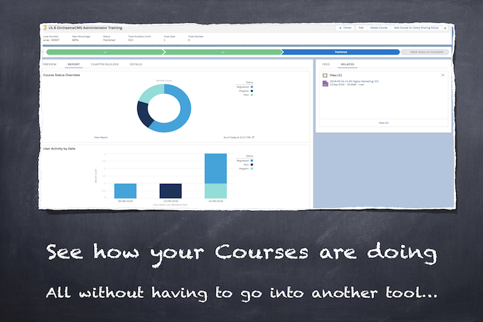 fully customizable dashboards and reports all native on the salesforce ...