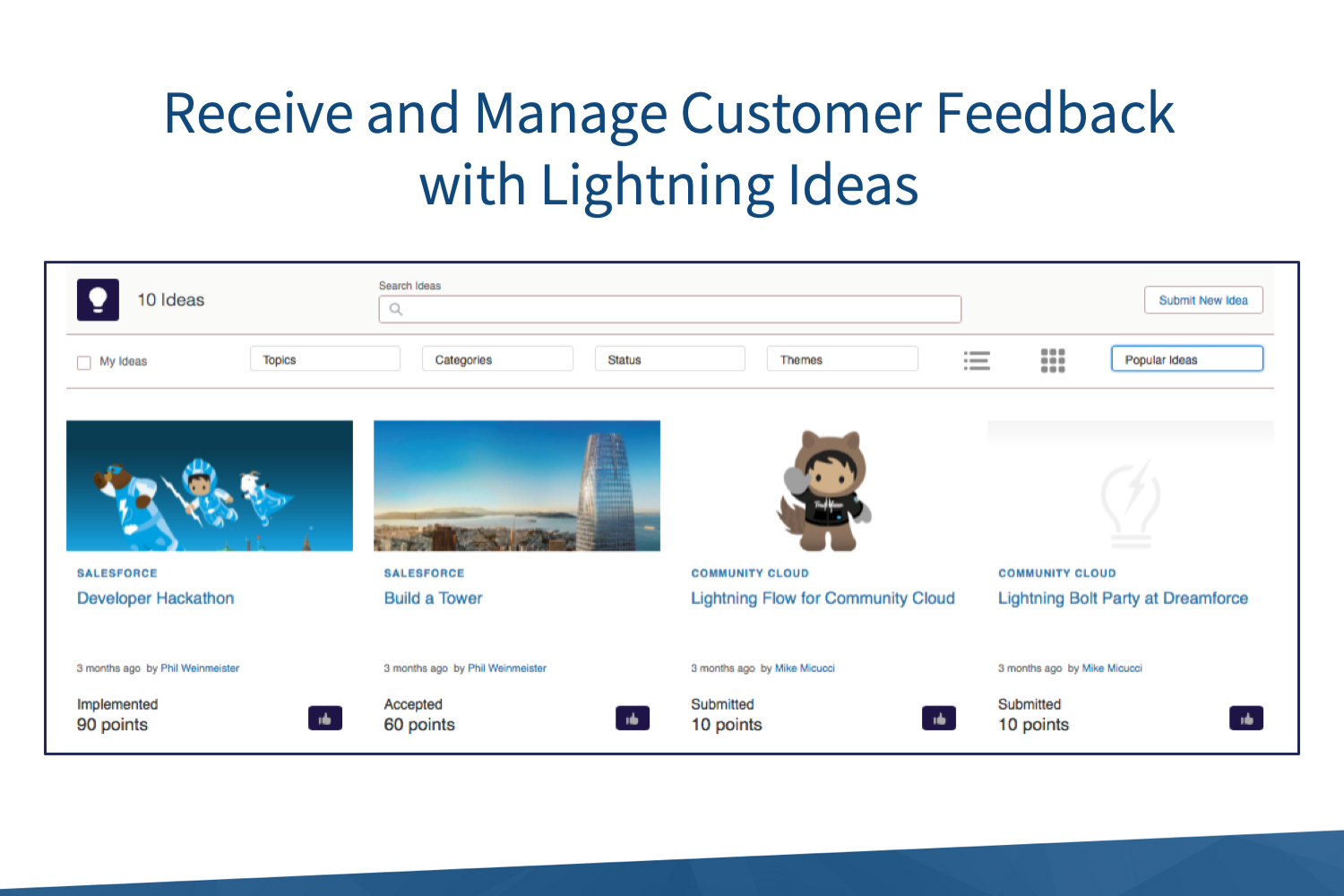 receive manage customer feedback w lightning ideas