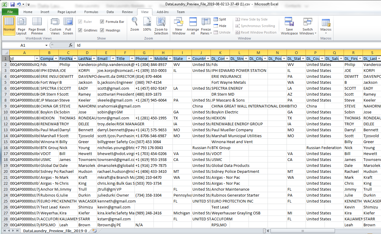 data laundry excel review sample