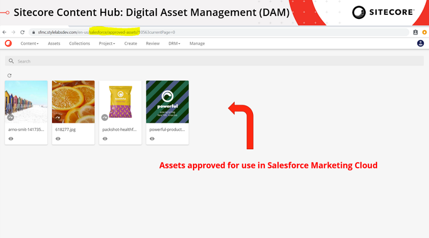 Sitecore Connect™ for Salesforce Marketing Cloud - DAM