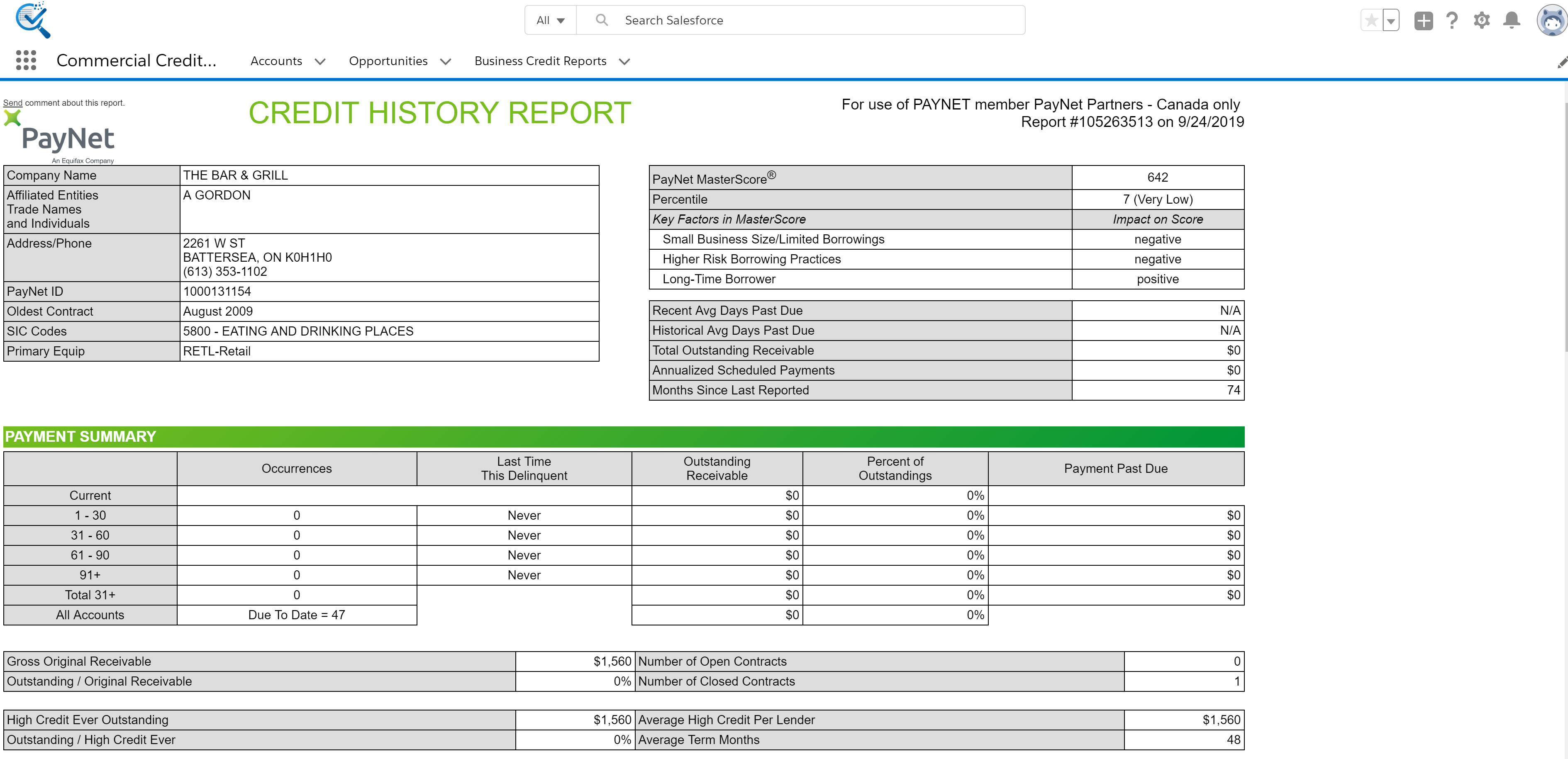 paynet sample html report inside salesforce