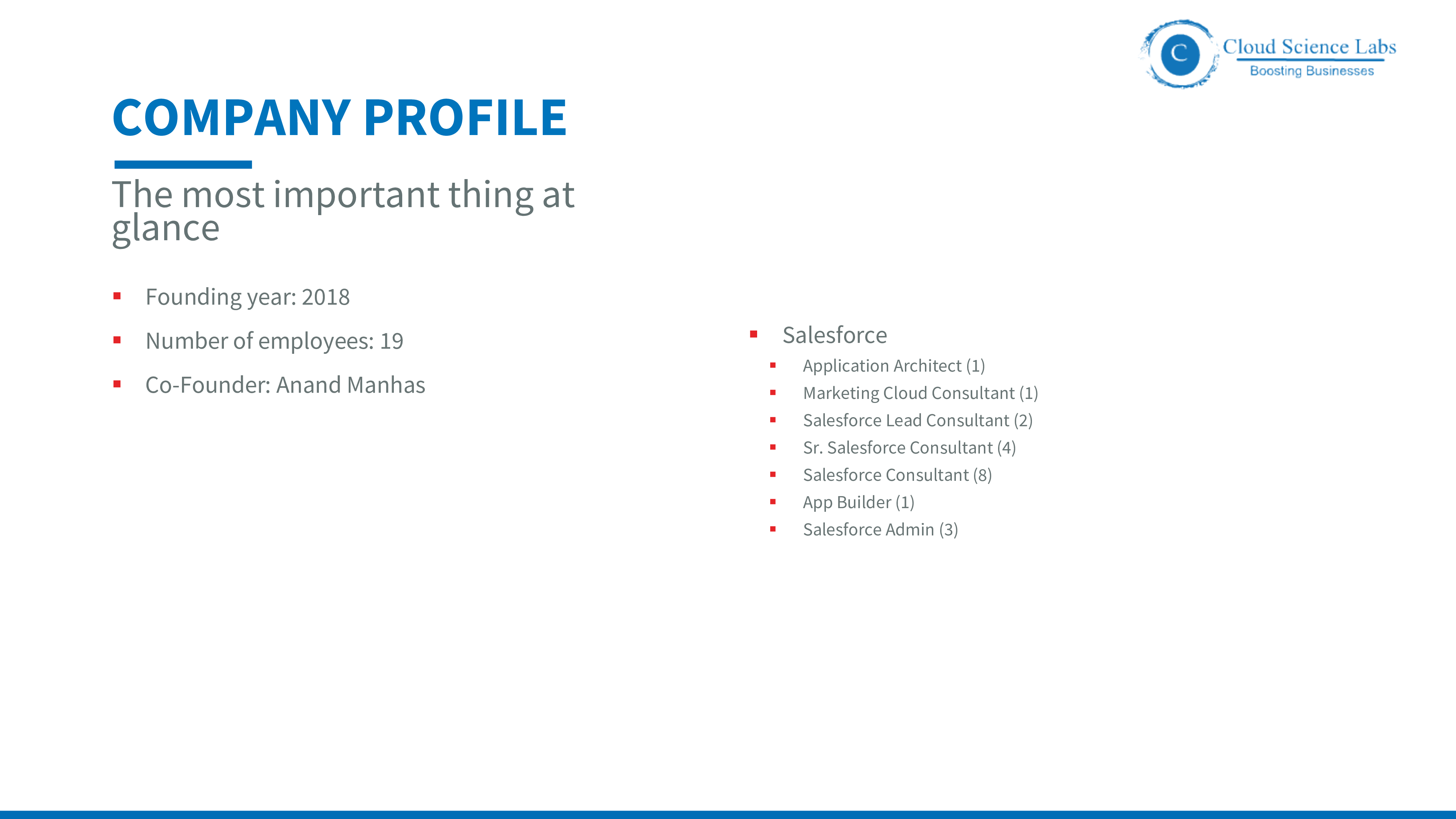 company profile