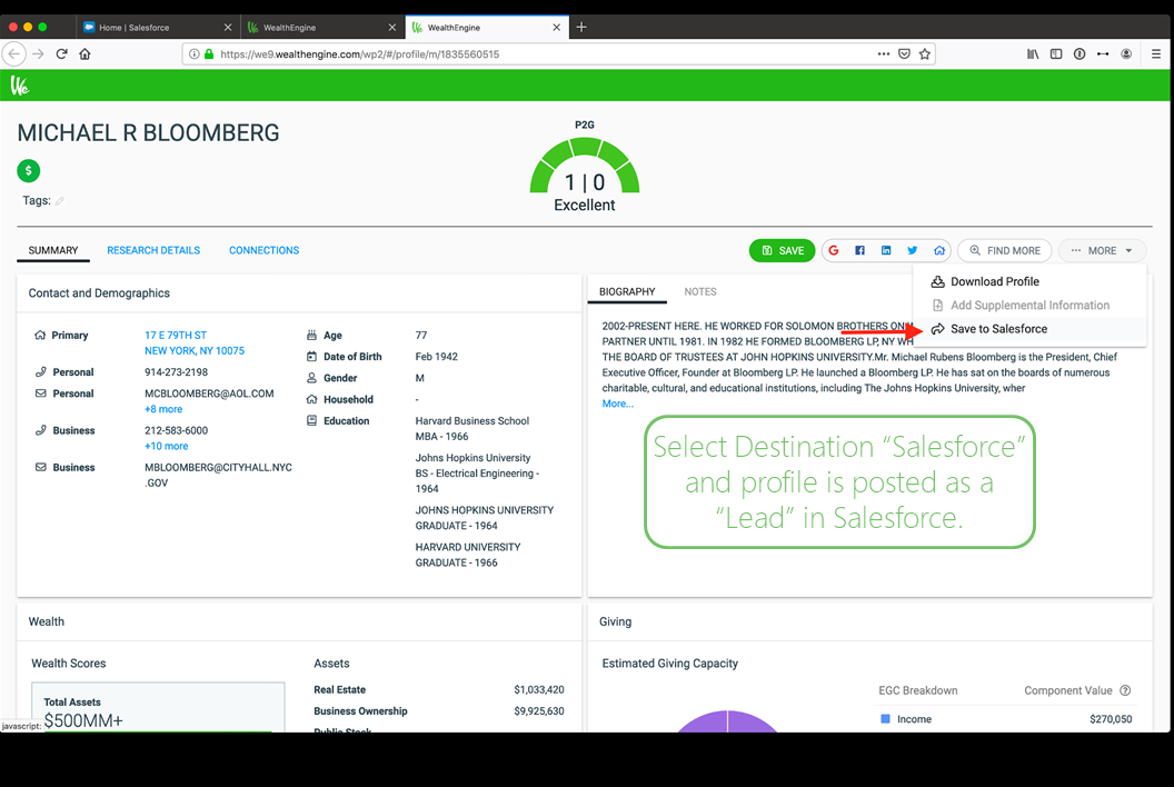 find hidden gems and send them to salesforce
