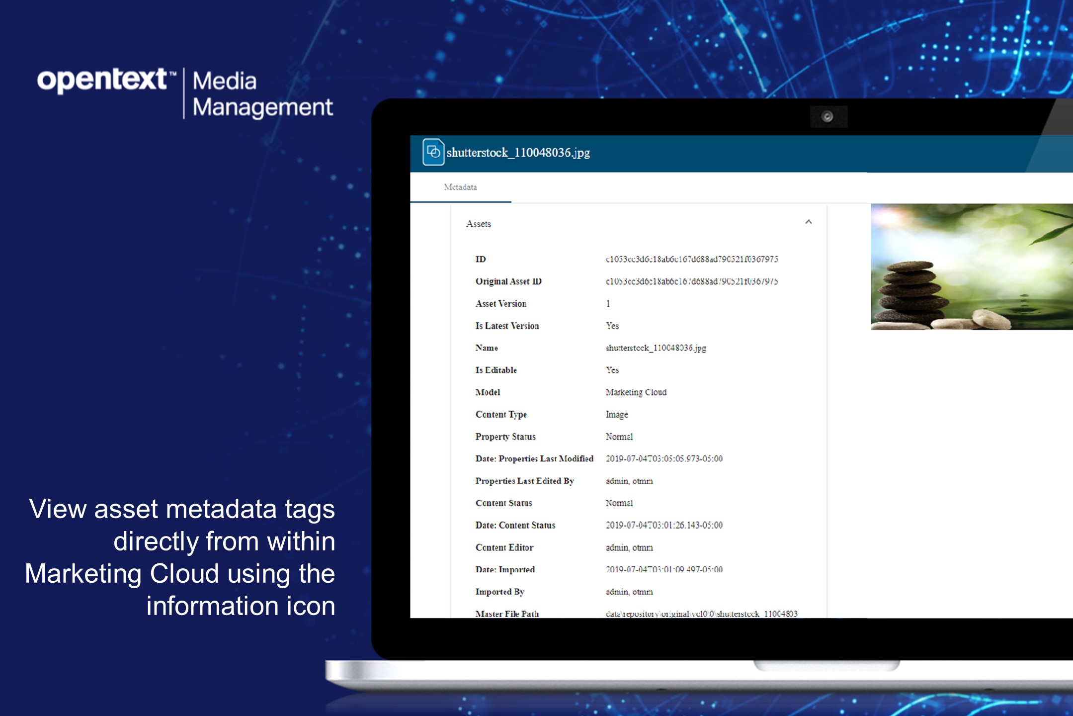 view asset metadata tags from within marketing cloud