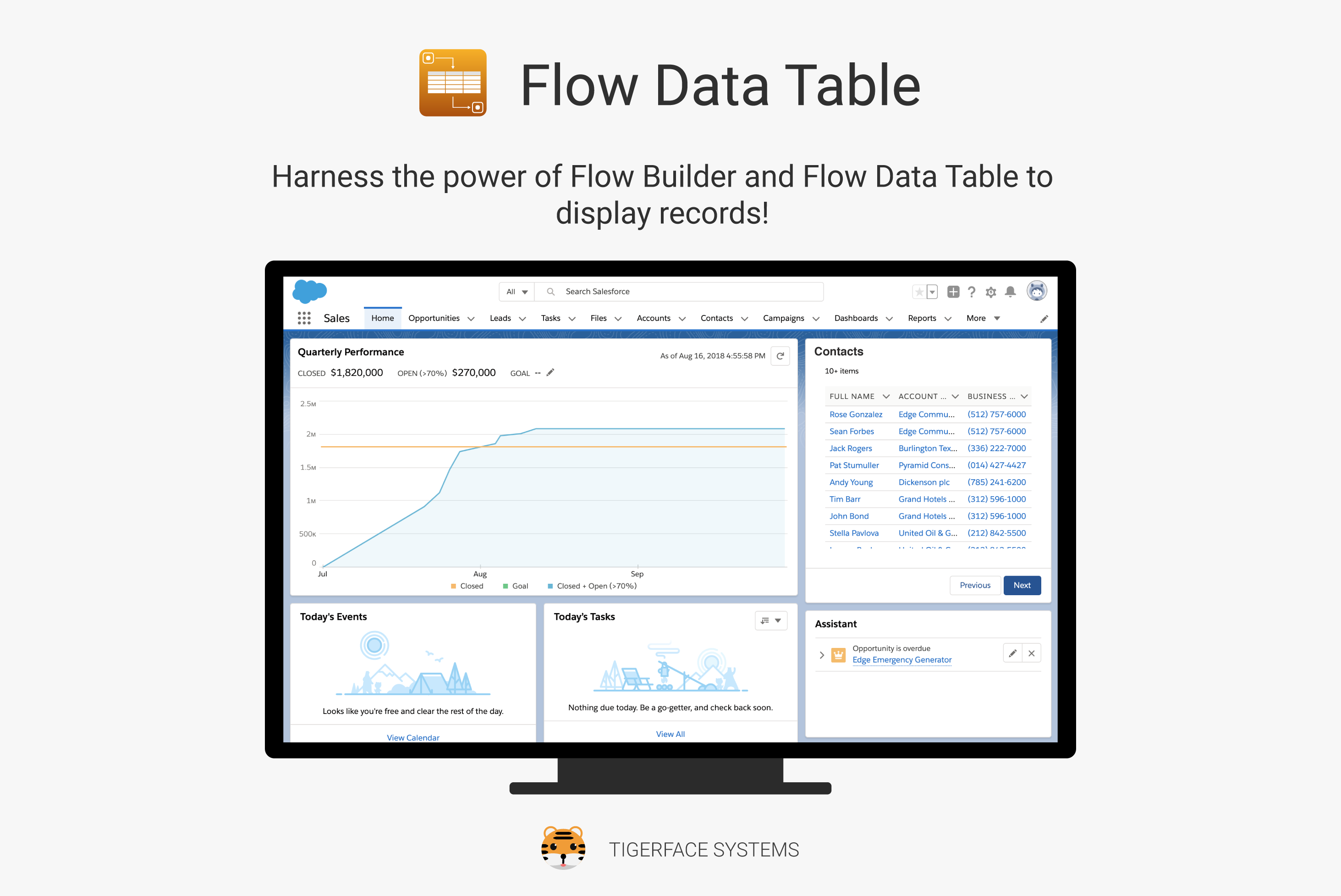 display records in a flow