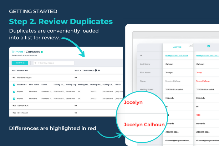 Duplicates Are Loaded Into A List For Easy Duplicate Management