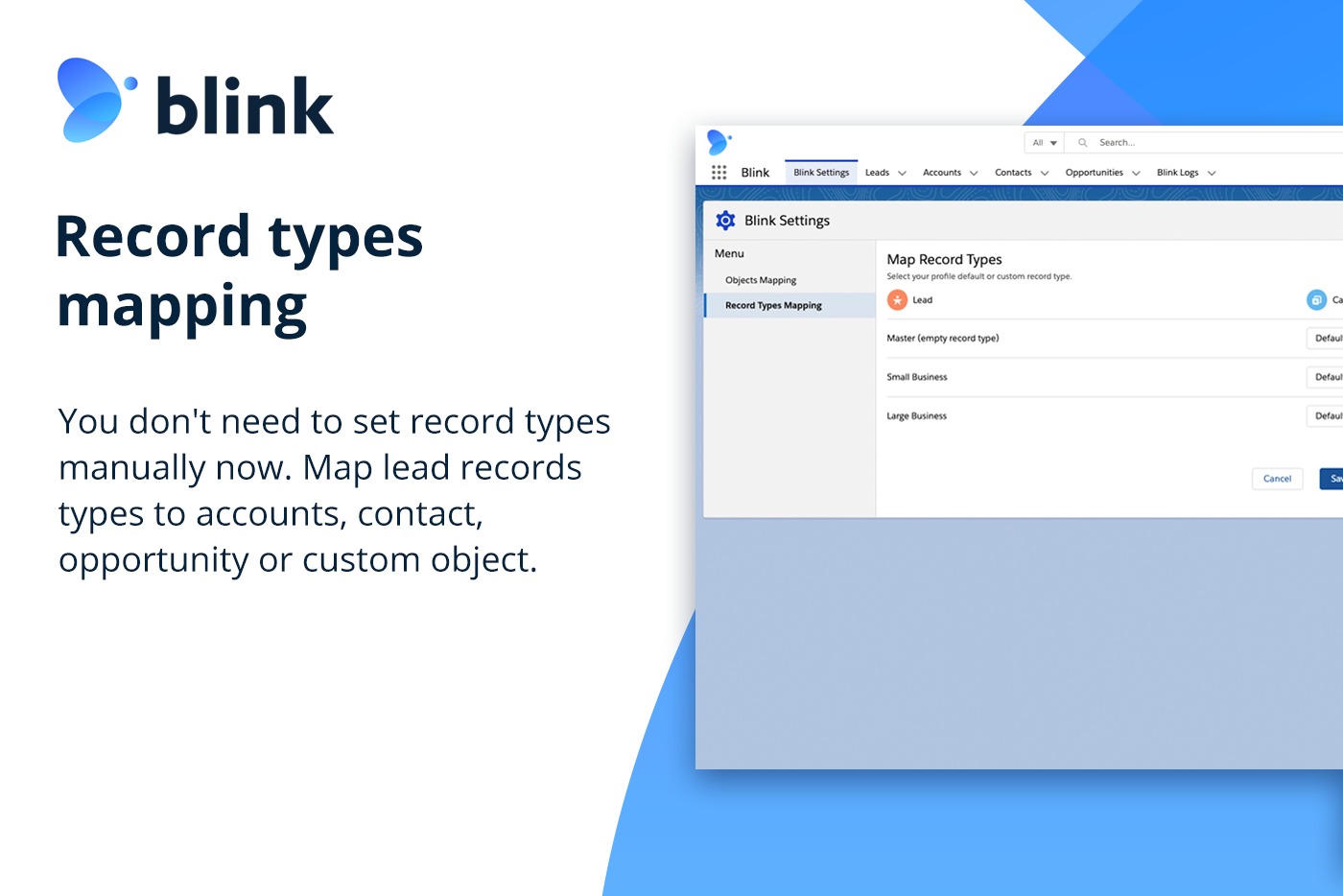 lead record types management