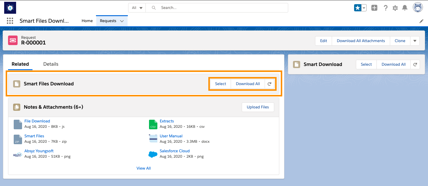 Smart Files Download