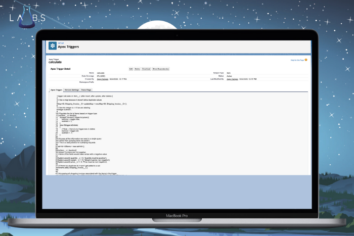 includes sample apex triggers