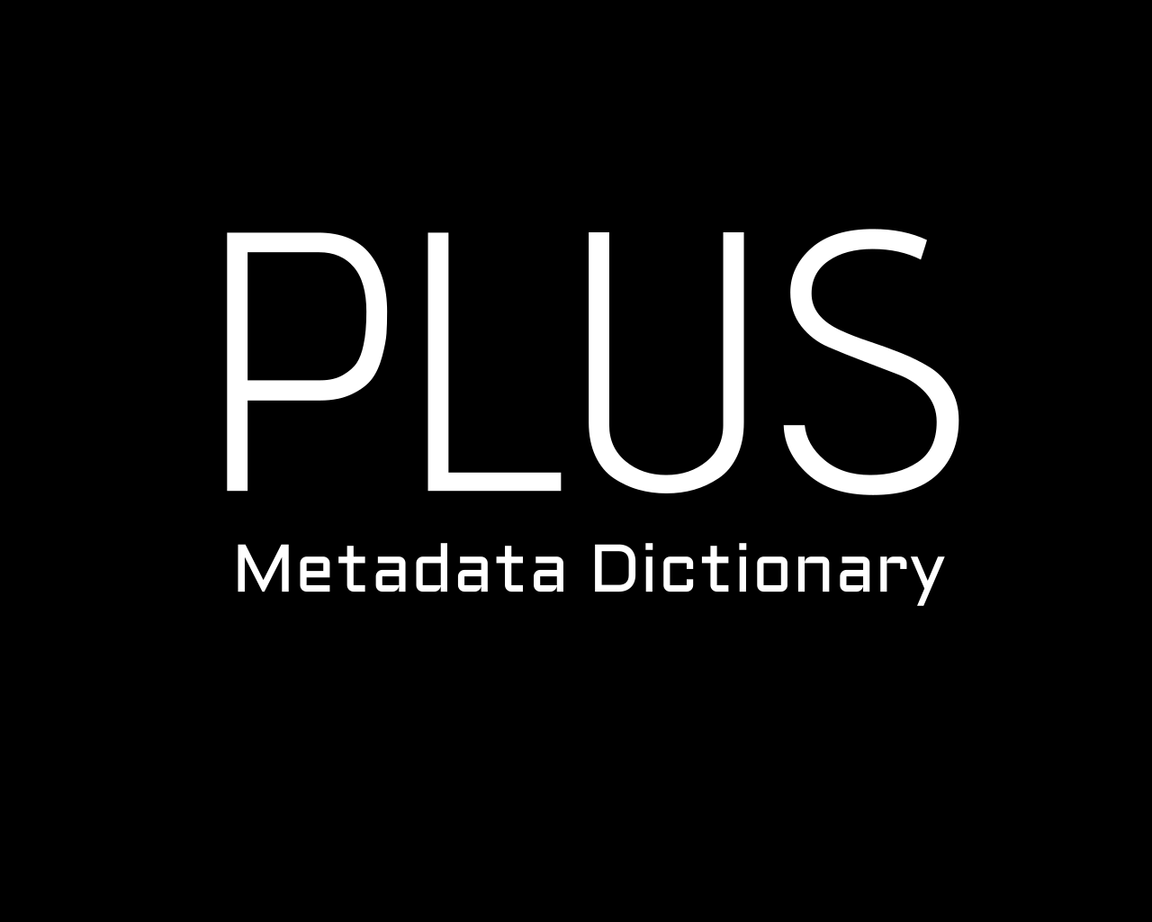 Plus - Salesforce Metadata Dictionary