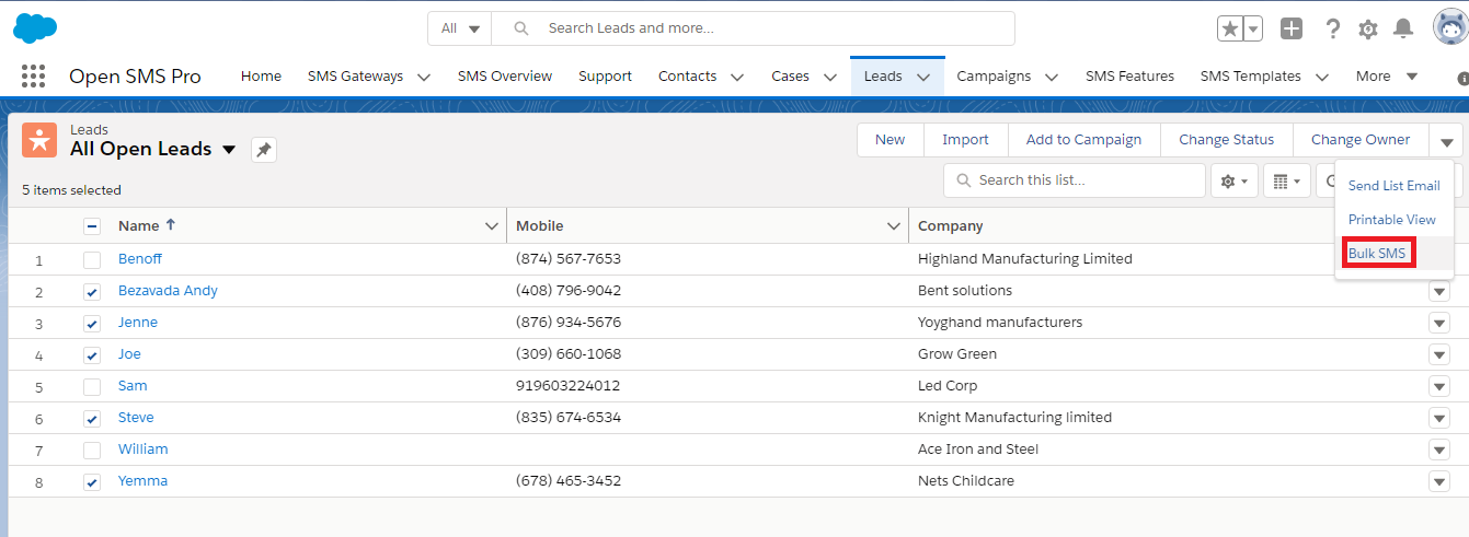 sending bulk sms to leads
