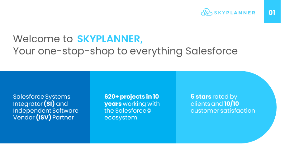 skyplanner crm consulting quickstarts custom solutions training more