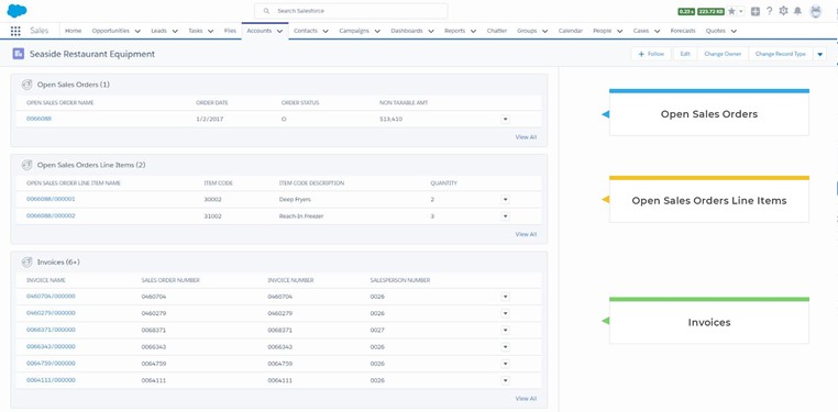 sales order with line item details