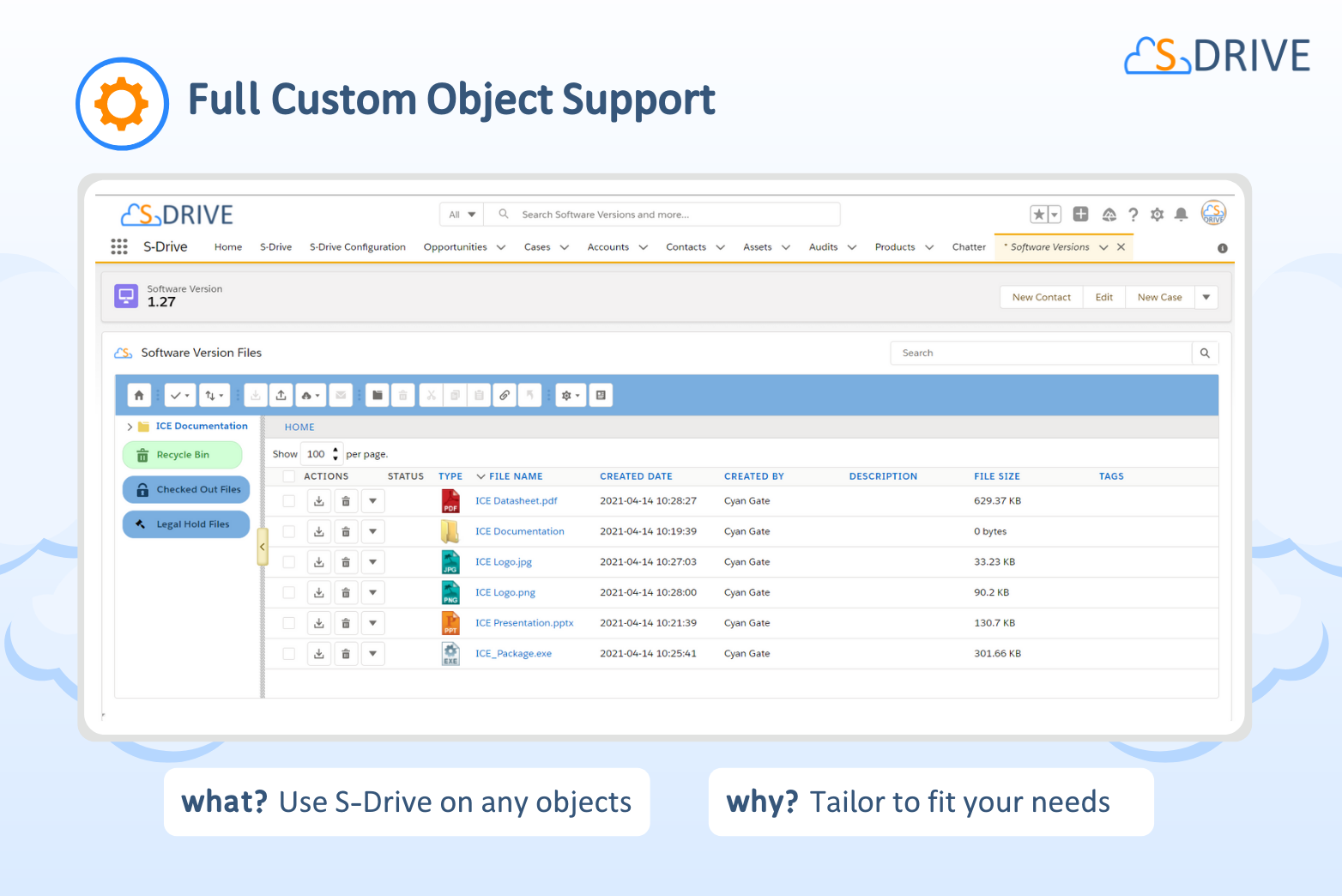 full custom object support