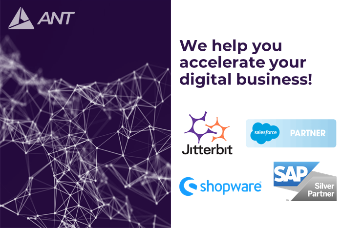 agile networks technologies