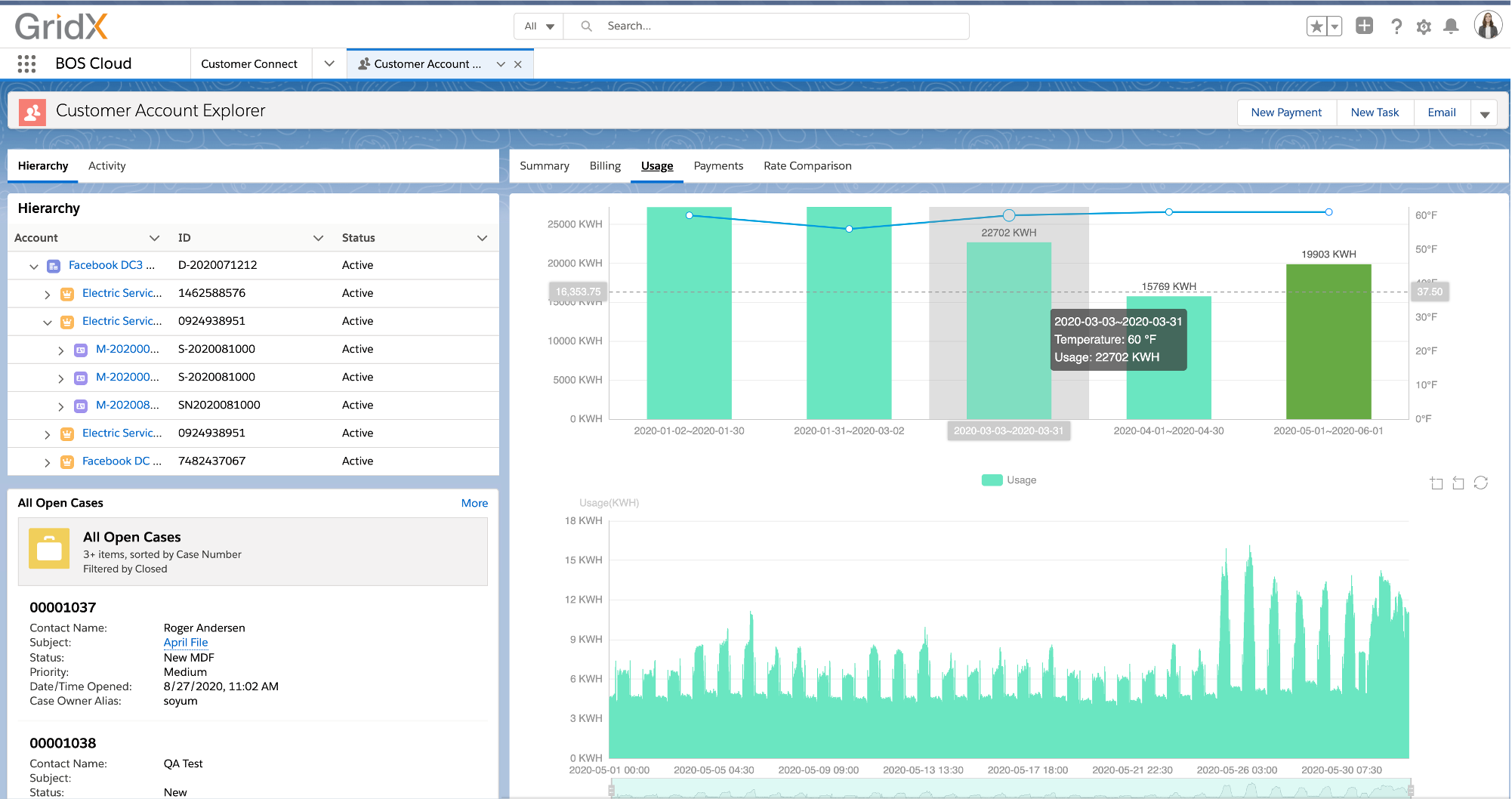 csr console for customer account management energy usage billing cases and analytics