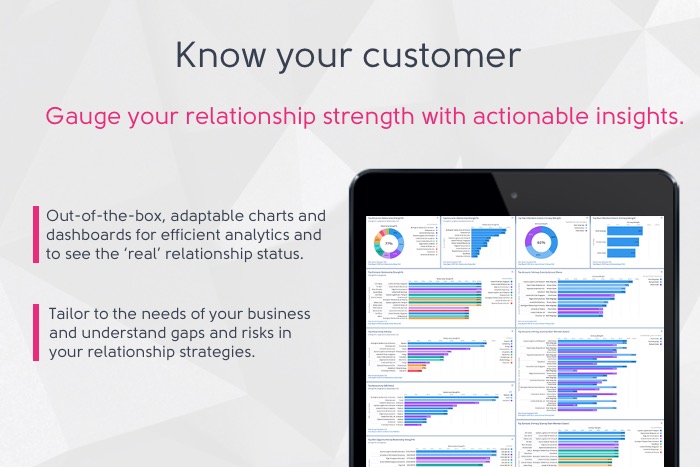 use salesforce reporting to evaluate relationship strength and manage adoption