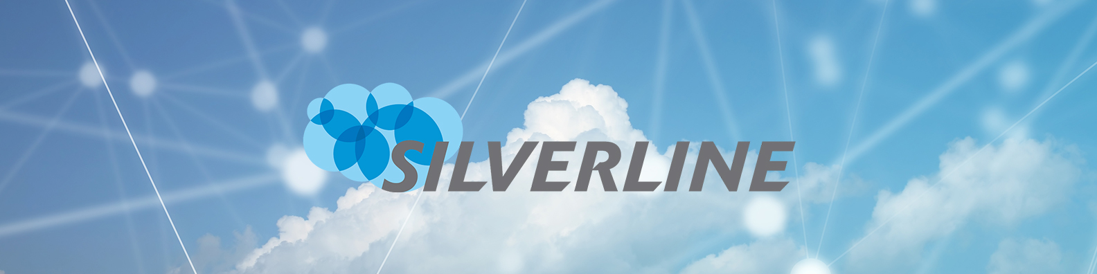 all consultants silverline