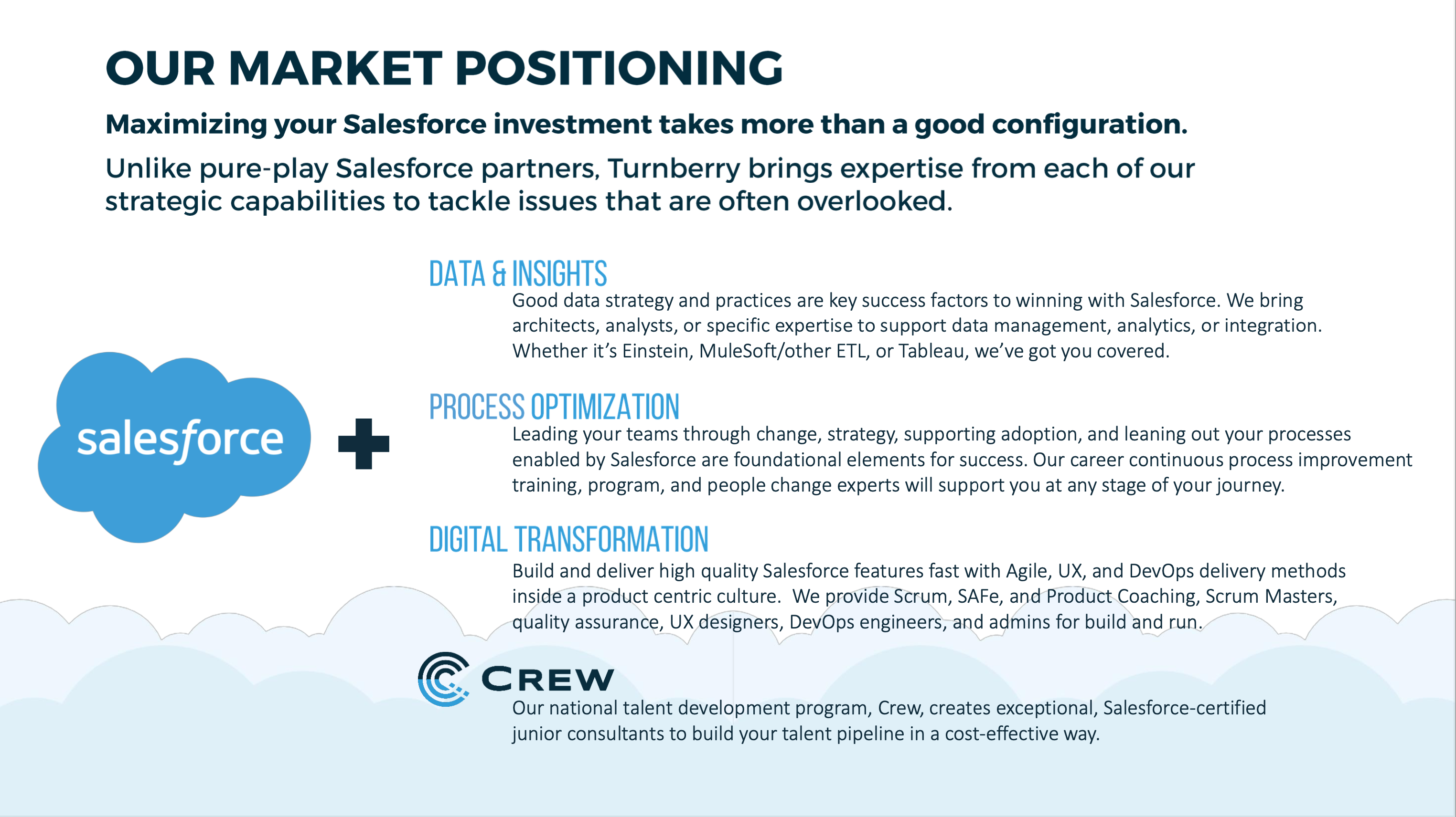 maximizing your salesforce investment