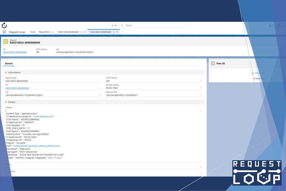 request bin s request details