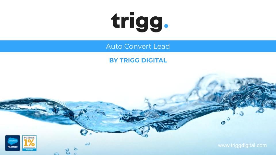 auto convert lead by trigg digital