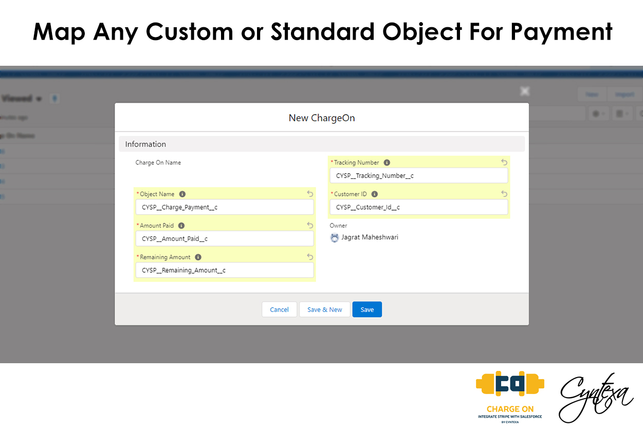 map any custom or standard object for payment