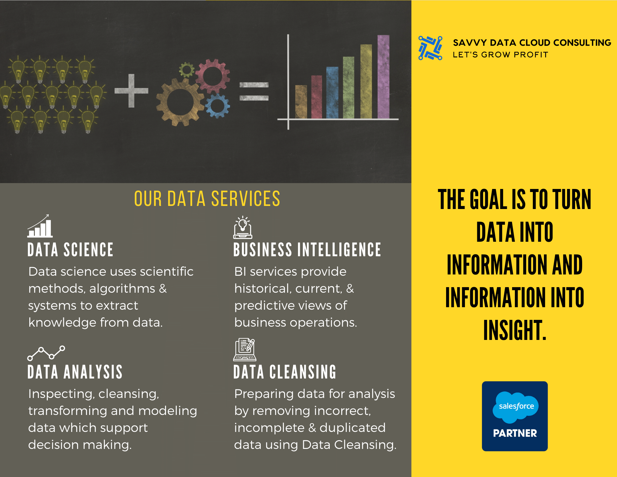 savvy data cloud consulting brochure