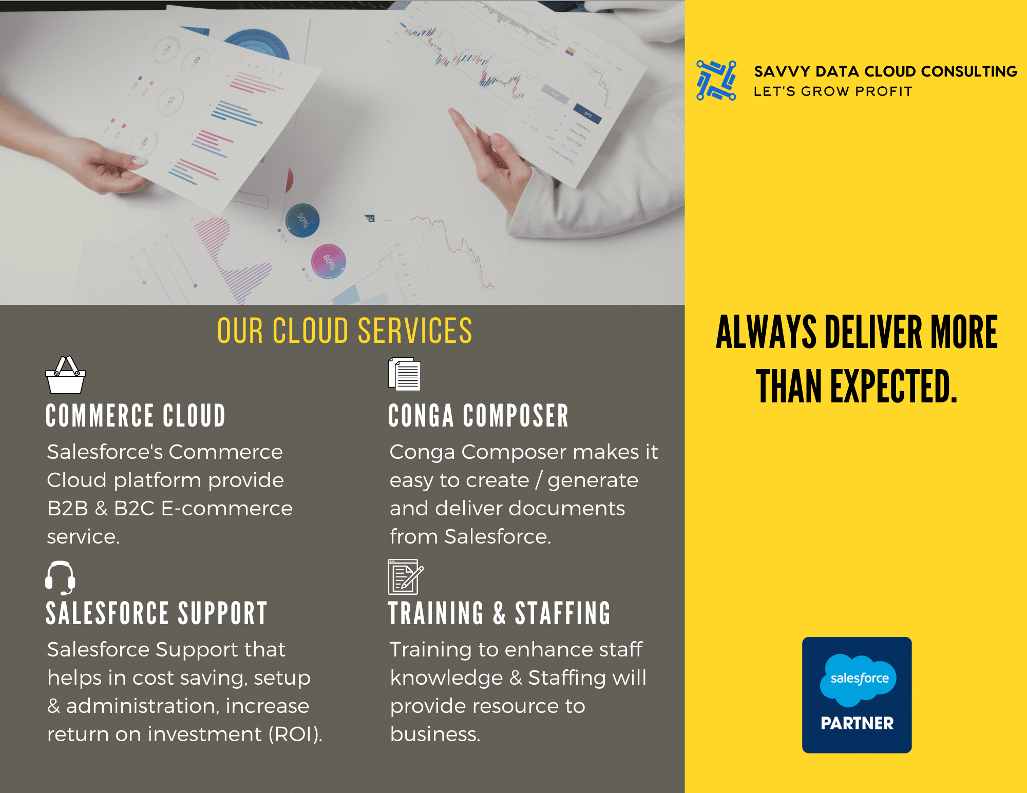 savvy data cloud consulting brochure
