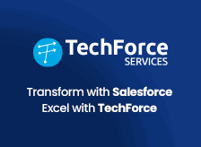 all consultants techforce services complete salesforce consulting customization development