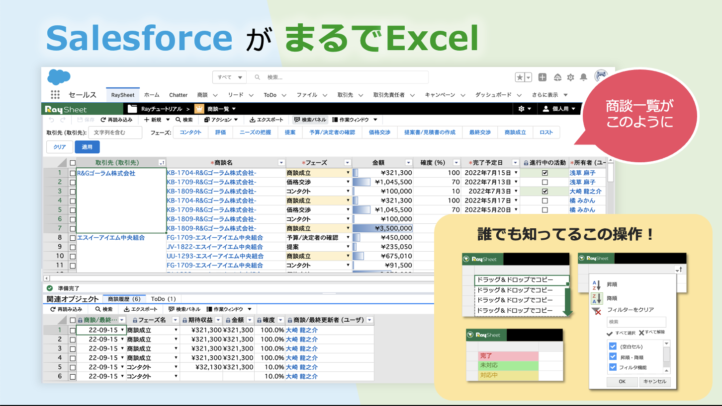 salesforce と excel の イイ トコ ドリ raysheet