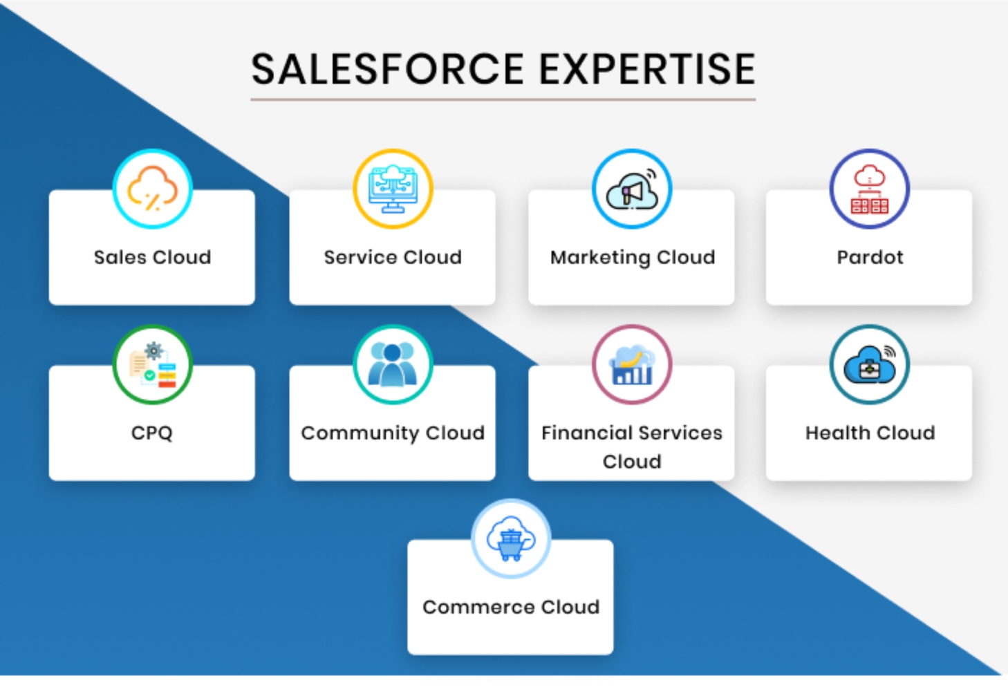 salesforce expertise