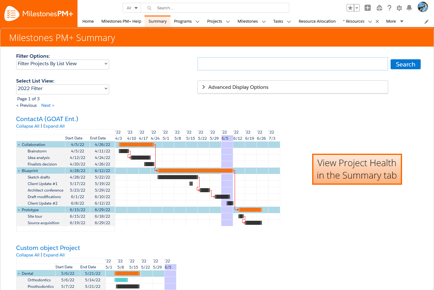 view a summary of multiple projects at a glance with milestones pm+