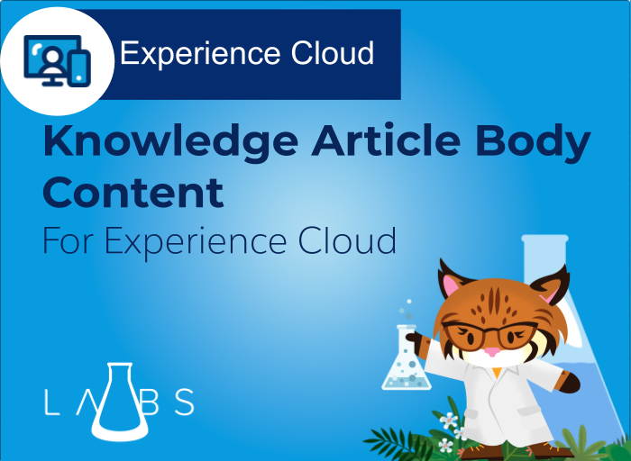 Knowledge Article Body Content for Experience Cloud (Aura/LWR)