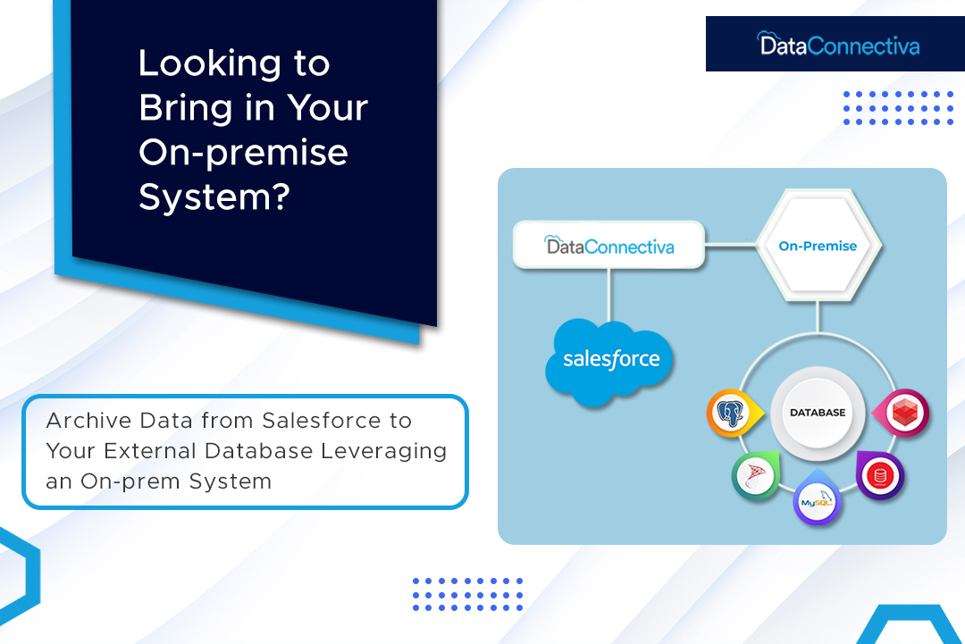 archive data from salesforce to external database leveraging your on premise system