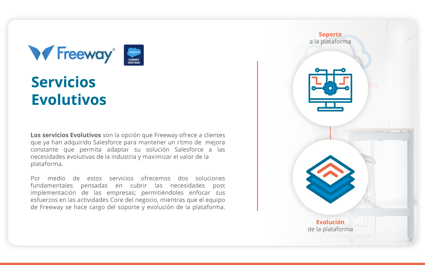 servicios evolutivos