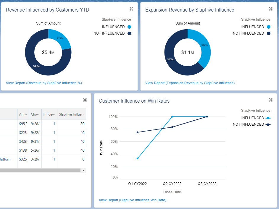 report on extensive measures of customer influence on revenue