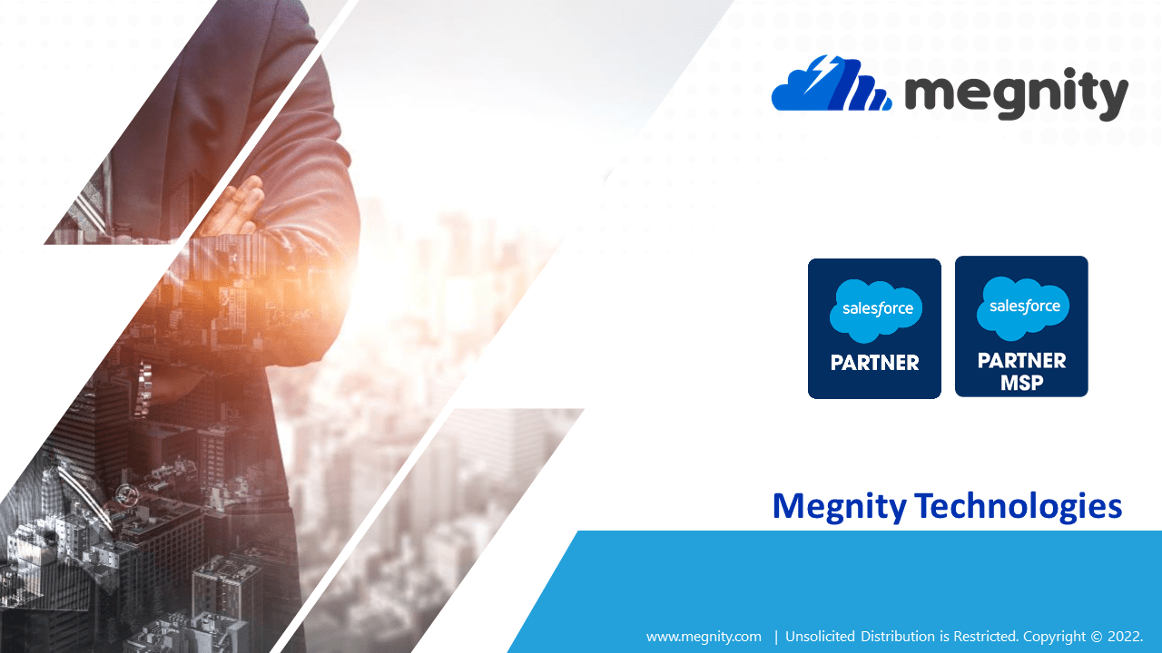 all consultants megnity technologies