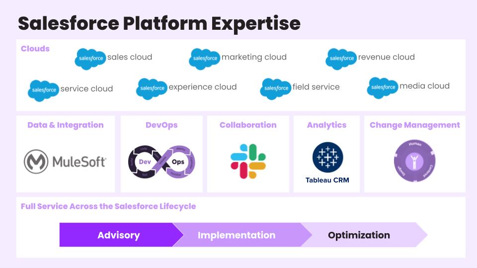 salesforce platform expertise