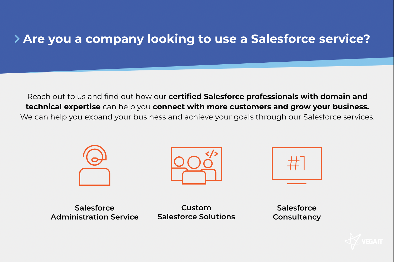 vega it development administration integration customisation services