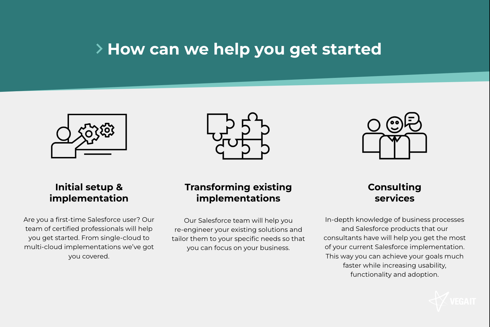 vega it development administration integration customisation services