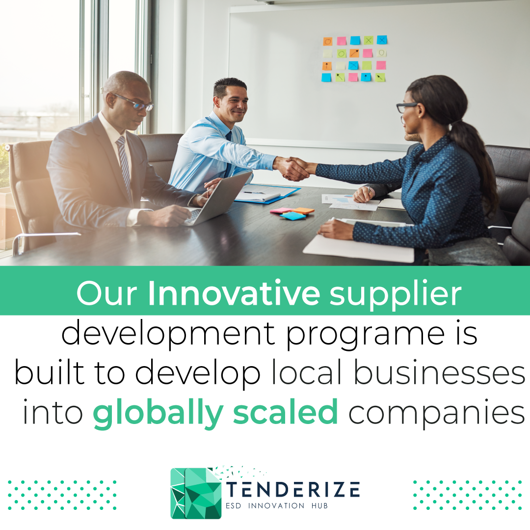 tenderize etendering features