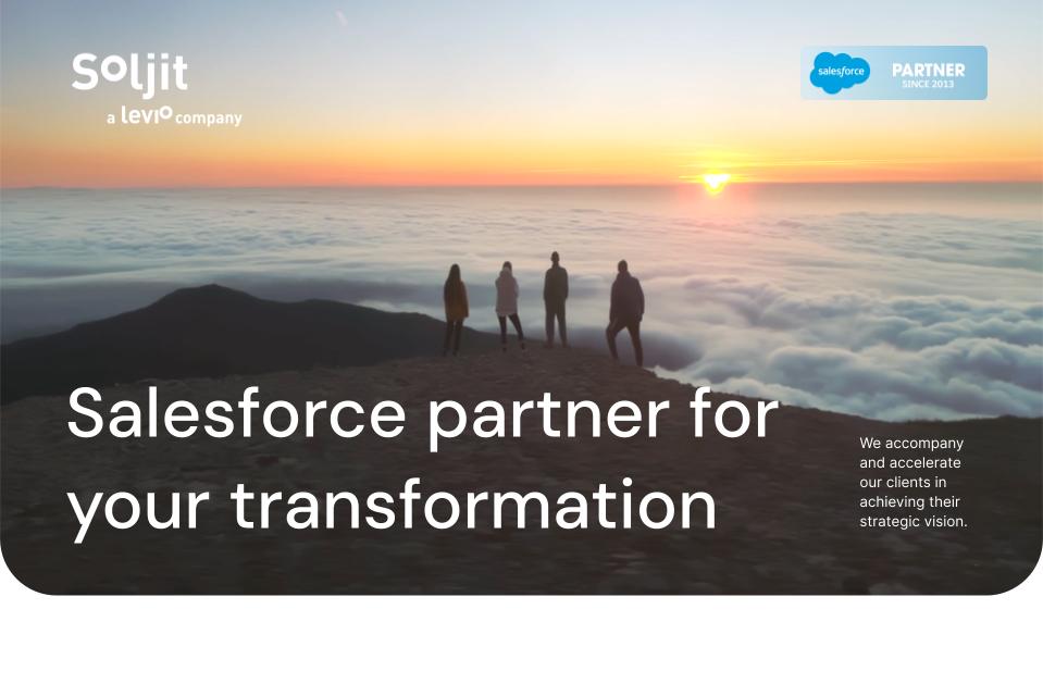 soljit a levio company summit level salesforce partner