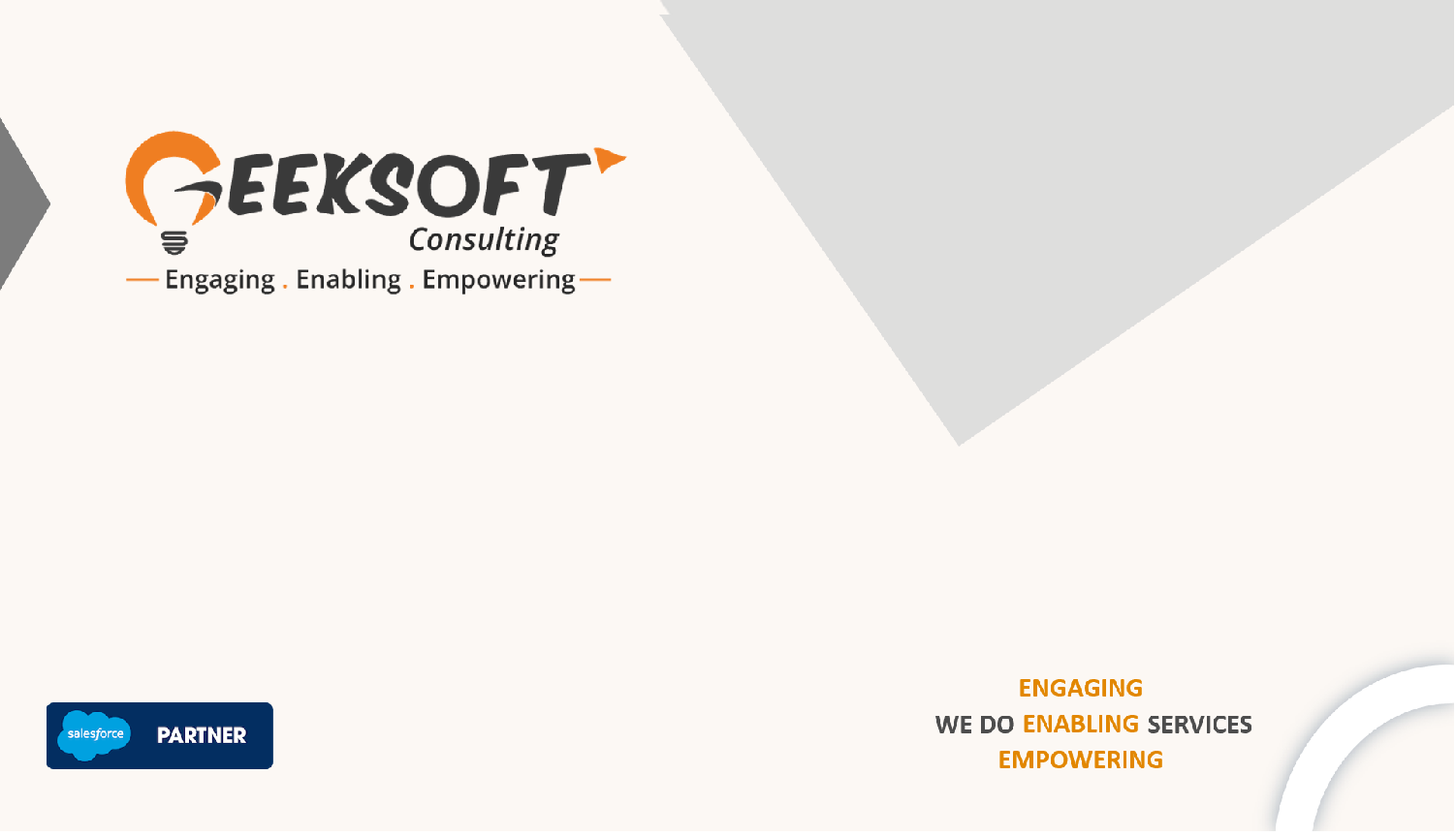 geeksoft consulting