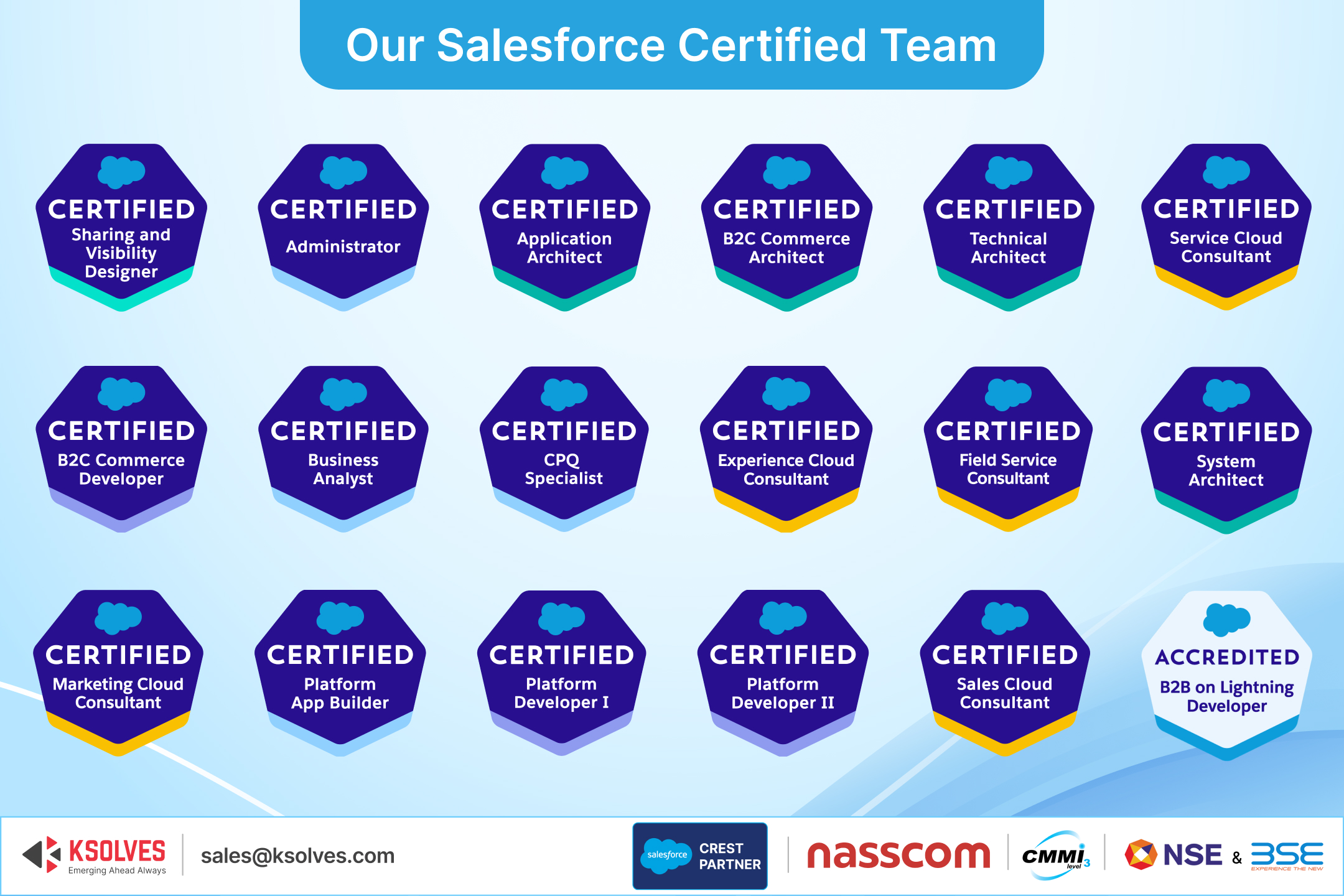 our expert salesforce team
