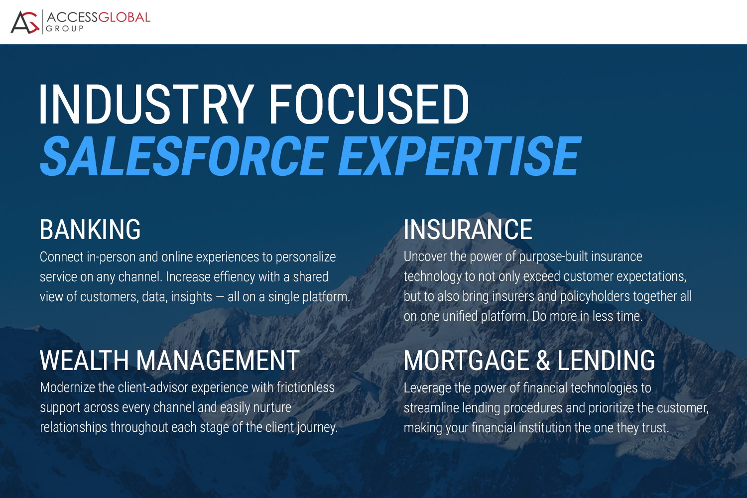 access global group industry expertise